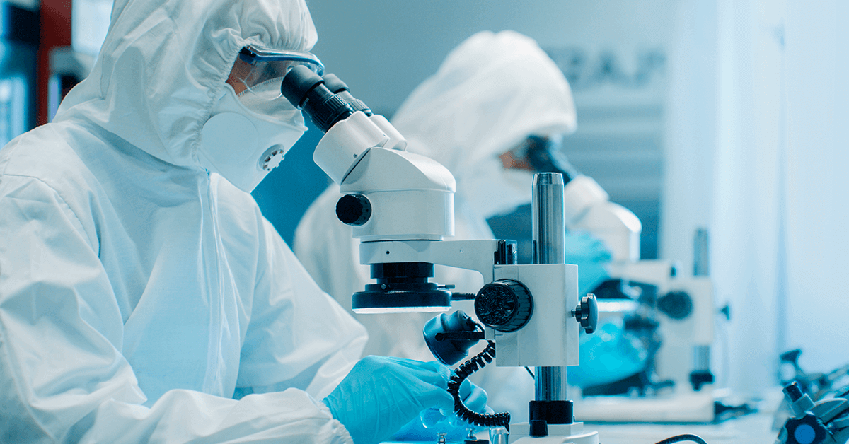 Que Es La Clonacion En La Biotecnologia at Debra Masters blog