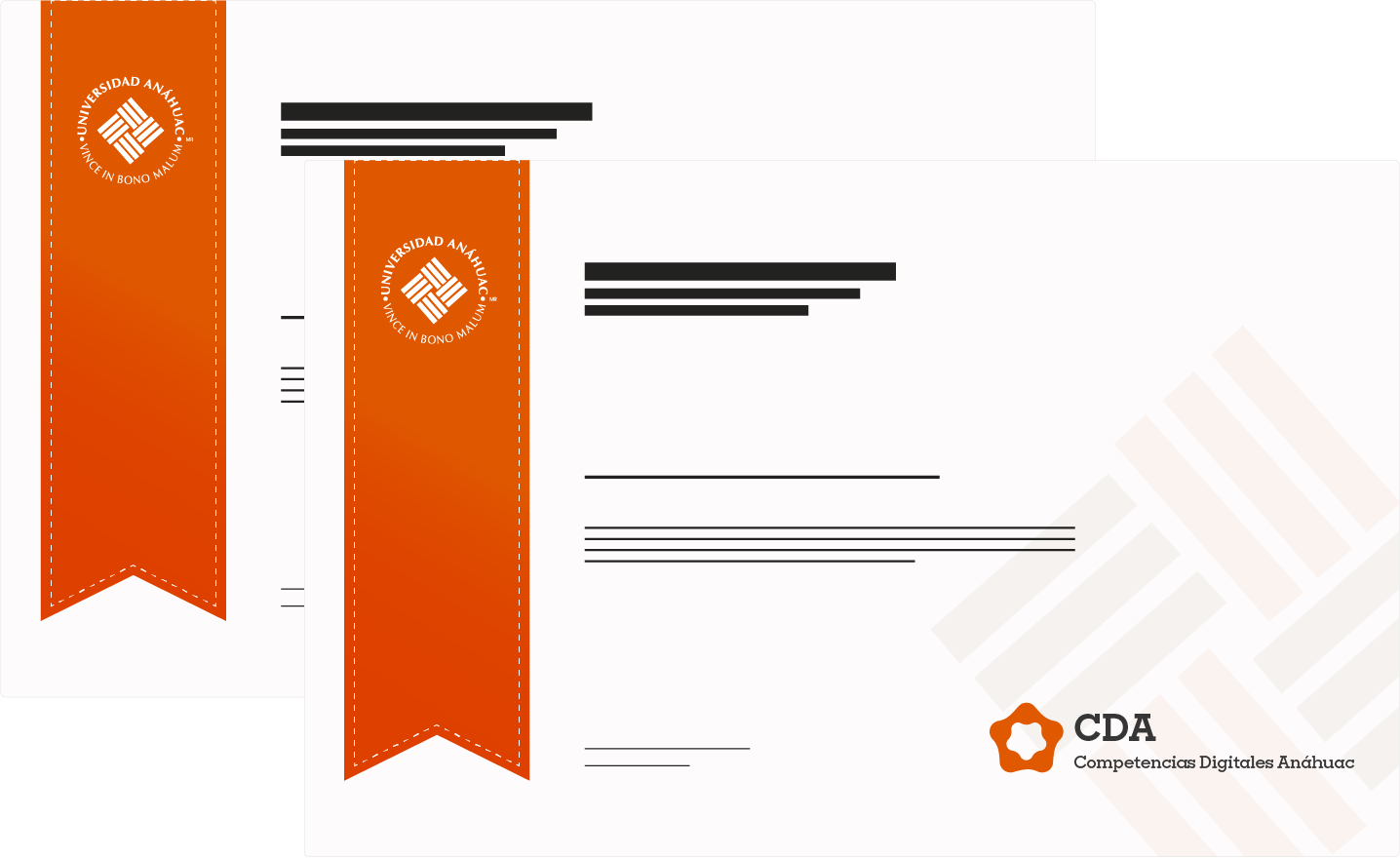 Estructura del programa | CDA