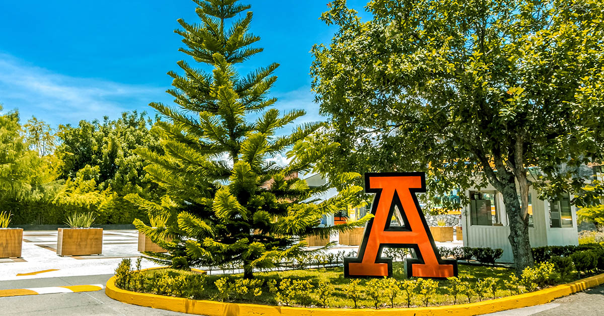 Cuentas Institucionales - Universidad Anáhuac Veracruz | Universidad ... Cuentas Institucionales - Universidad Anáhuac Veracruz | Universidad ...